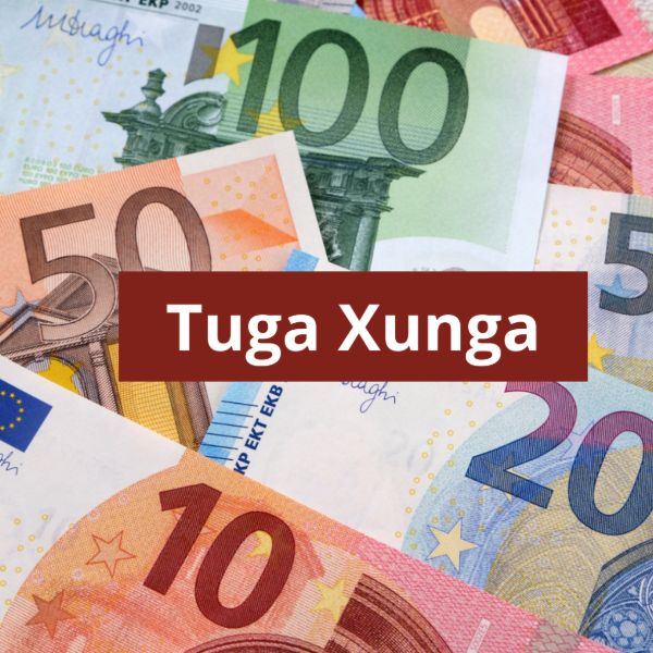 Indiefy | Music distribution and AI tools. Boost your music career.